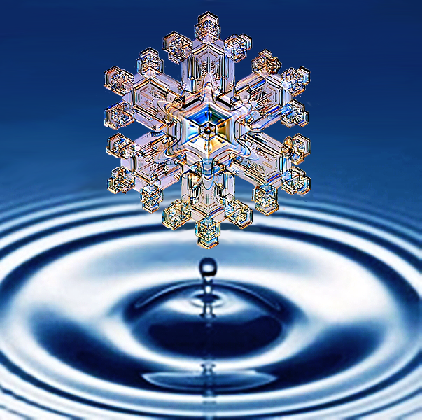 Water, Consciousness & Intent: Dr. Masaru Emoto - AbZu