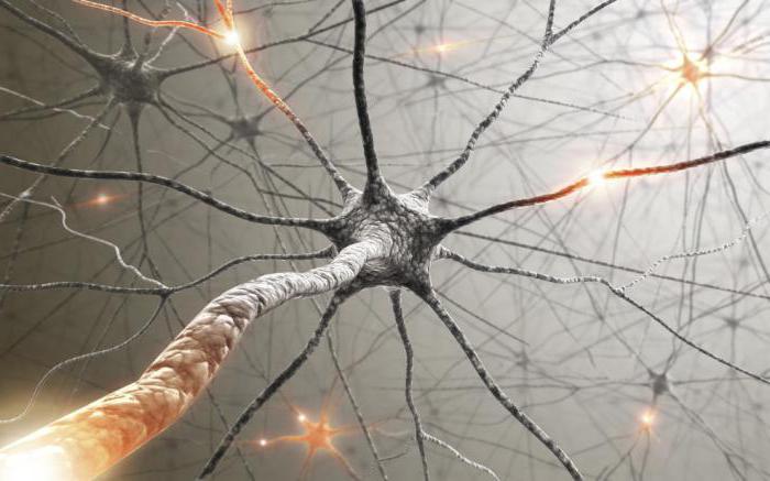 Your Cells Are Listening! How Talking to Your Body Helps You Heal - abzu2