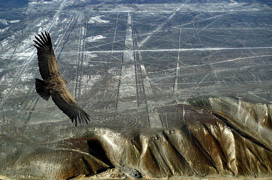 How were Nazca Images Created? - abzu2