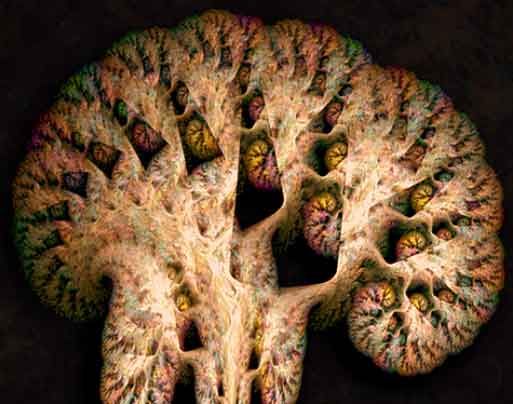 The Fractal Brain Theory & the Unification of Neuroscience with ...