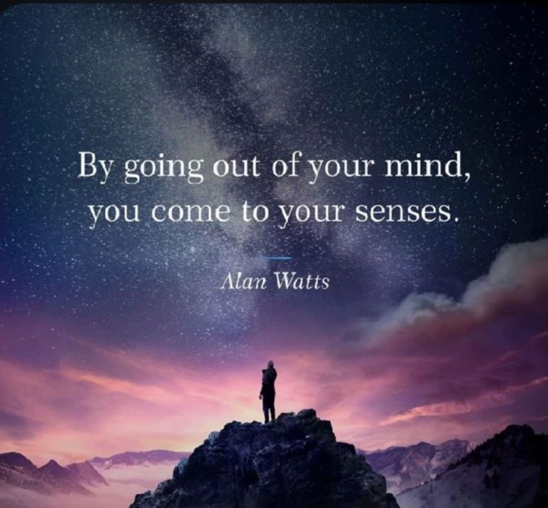 To go out of your mind once a day is tremendously important ∞ Alan ...